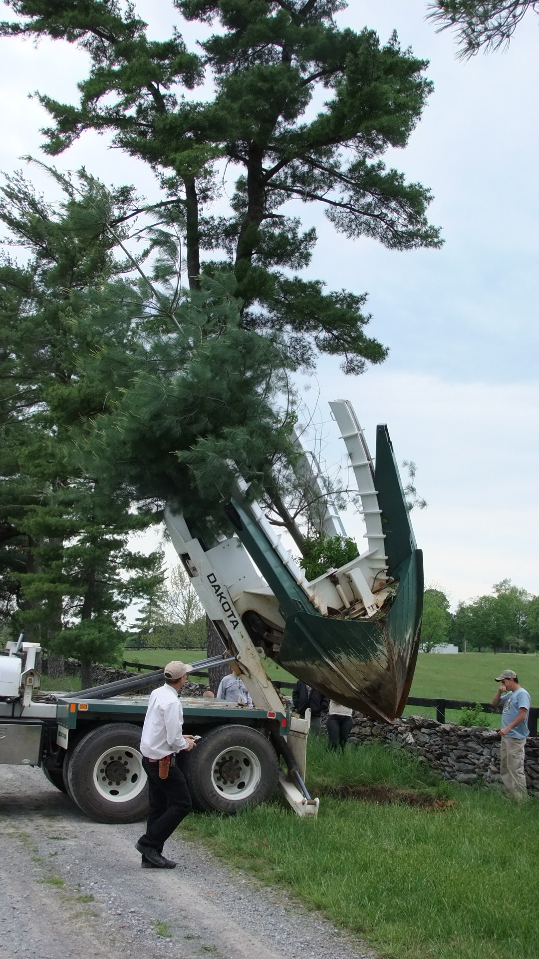 Moving Trees at the State Arboretum of Virginia | Shade Tree Farm